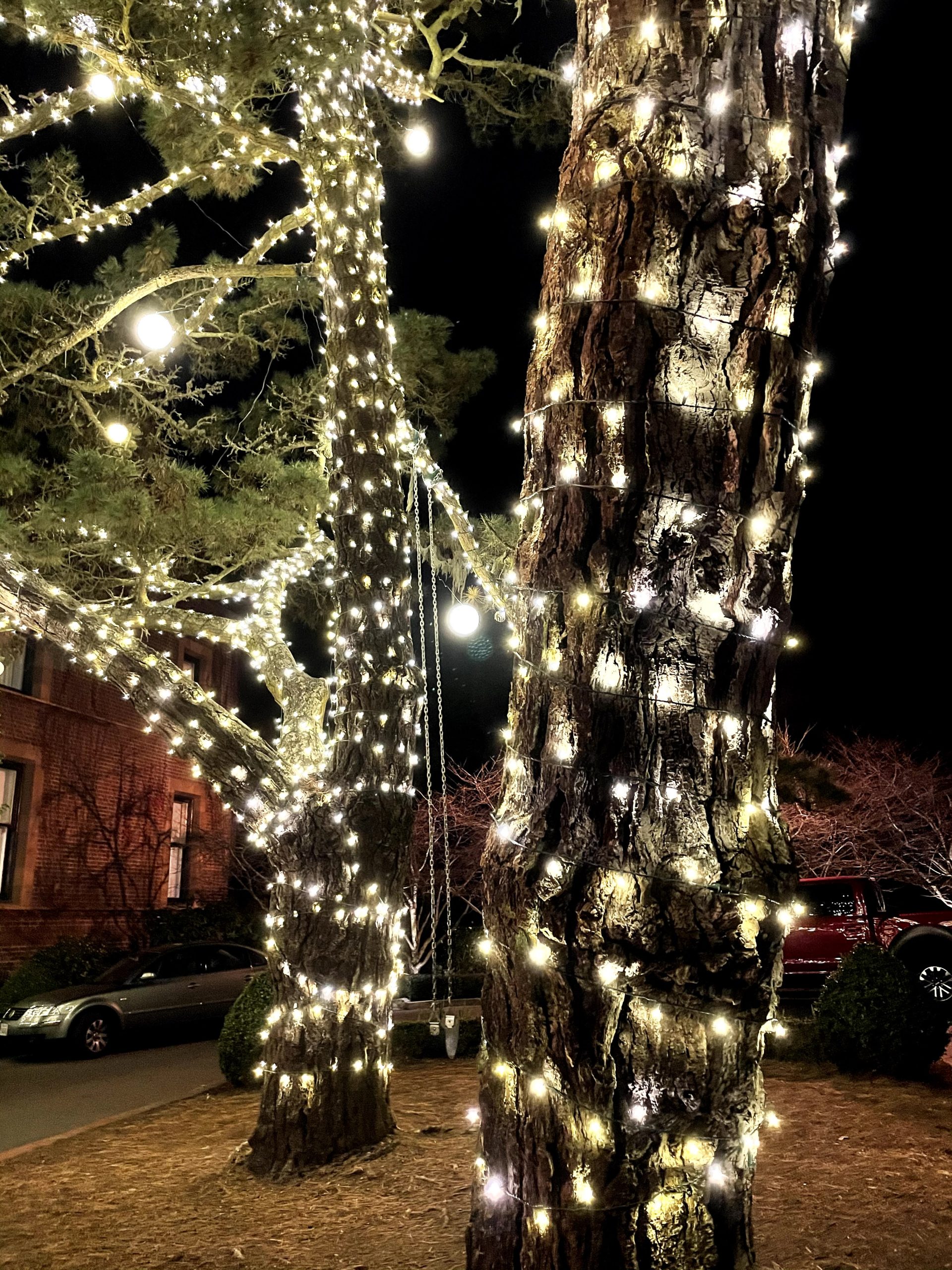 Holiday Lights in the Bay Area: 20+ Magical Displays you need to visit ...