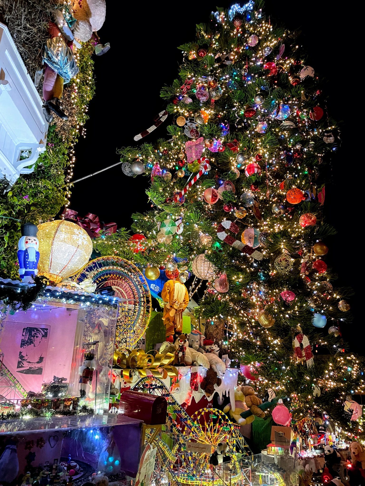 Holiday Lights in the Bay Area: 20+ Magical Displays you need to visit ...