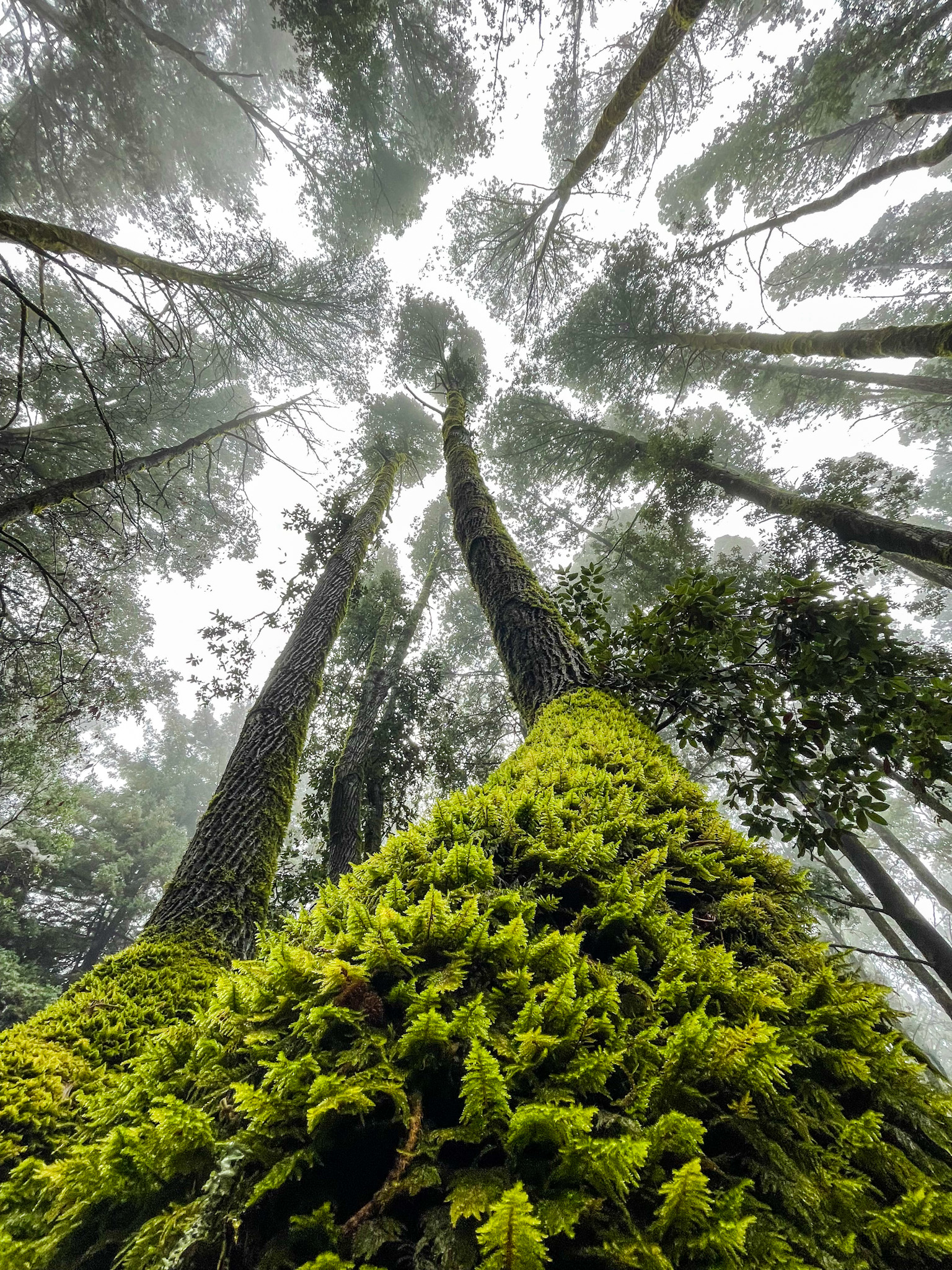 Bay Area Hikes: The Ultimate Hiking Calendar 2026 - Weekend Wanderers