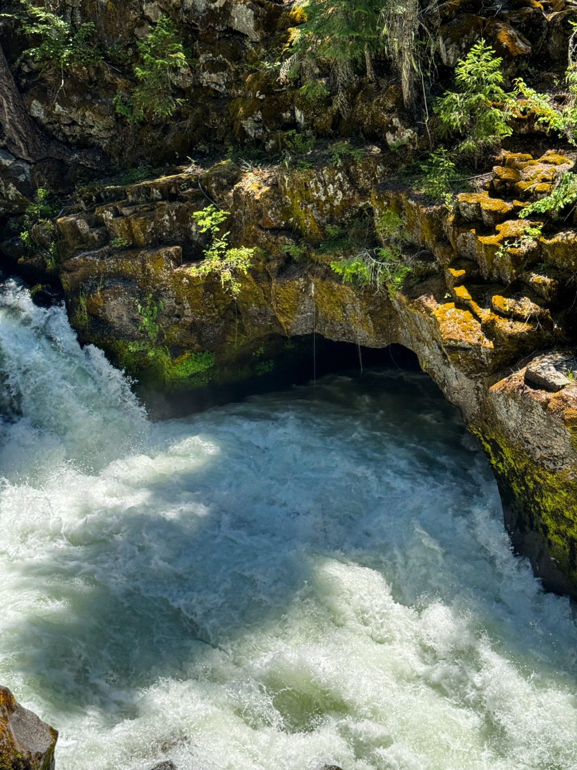 The Perfect 4-Day Road Trip From California to Oregon - Itinerary and ...
