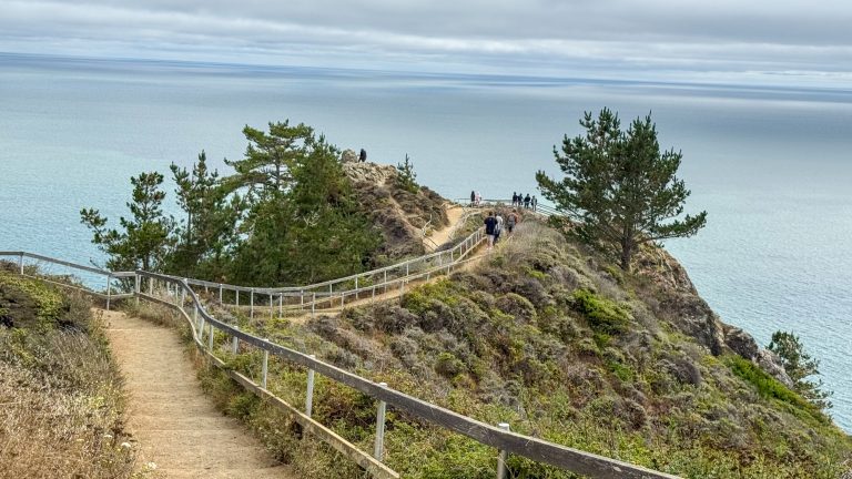 Exploring the beautiful Mount Tamalpais State Park in 8 Hours - Weekend ...
